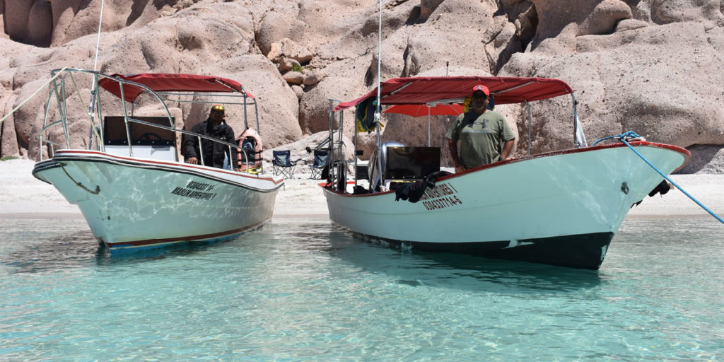 Whale Shark Expedition – Baja Outdoor Expeditions